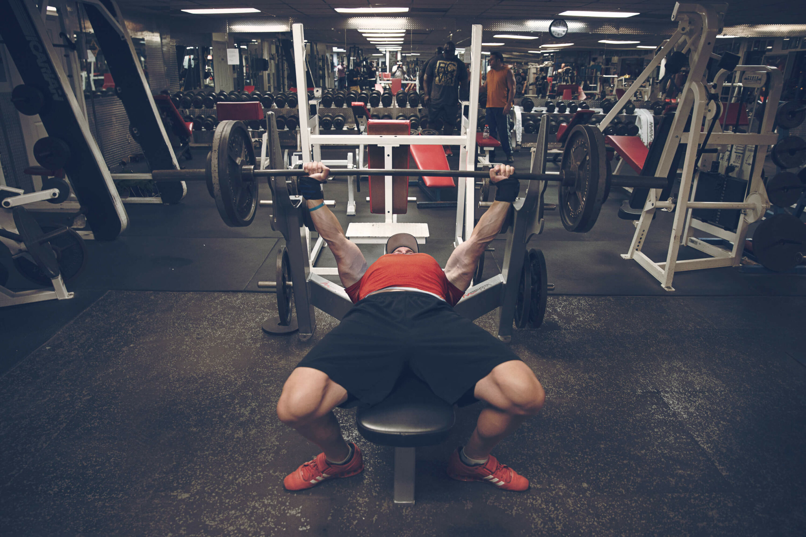 Making the Most of Your Offseason | Biolayne