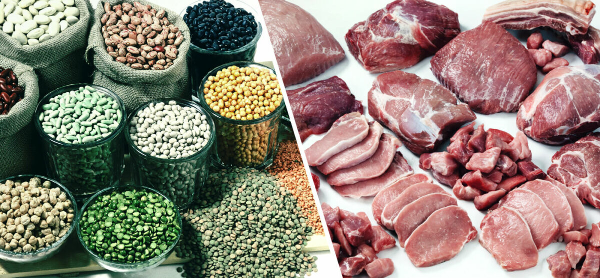 Animal Protein vs. Plant-Based Protein: Comparative Impact on Muscle ...