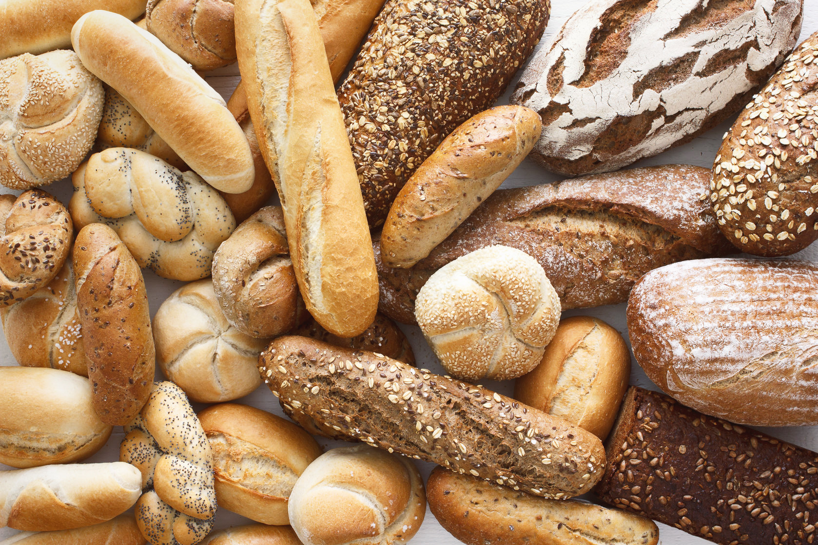 Getting a Grip on Gluten: What the Science Really Says | Biolayne