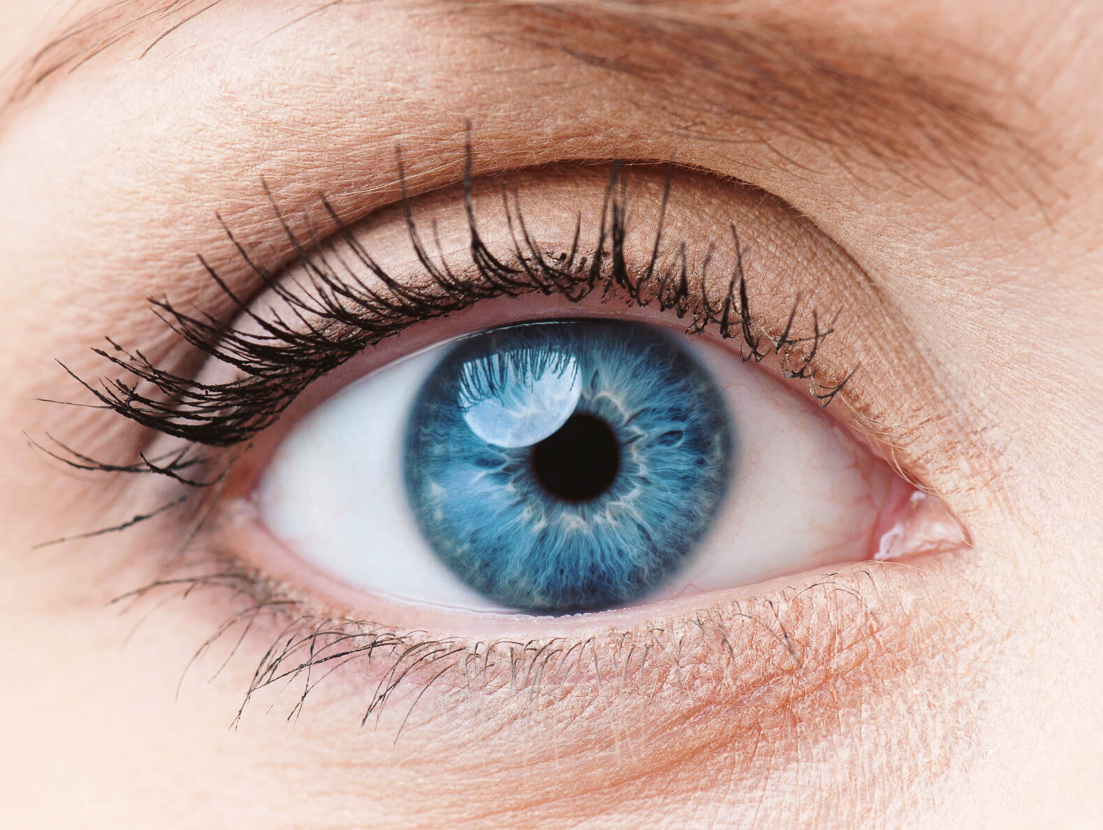 The Better Balance Feedback Loop | Biolayne