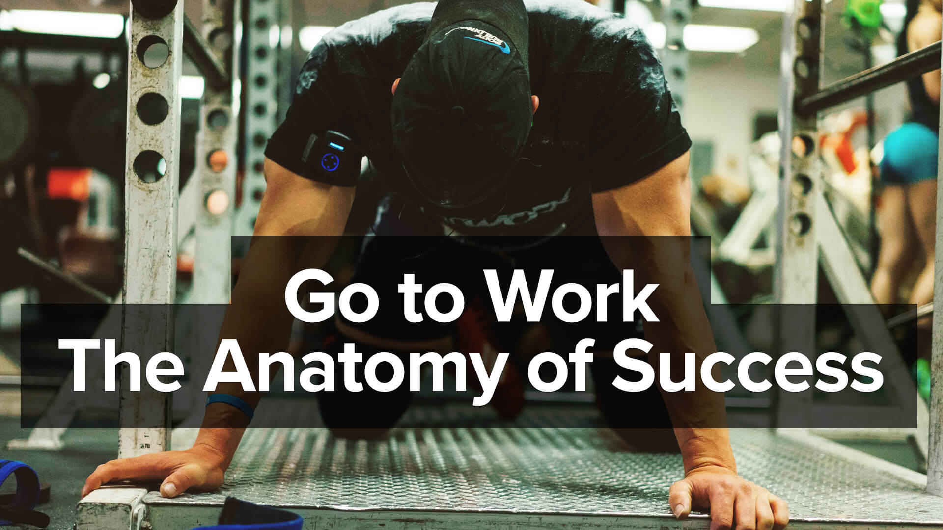 Go to Work - The Anatomy of Success | Biolayne