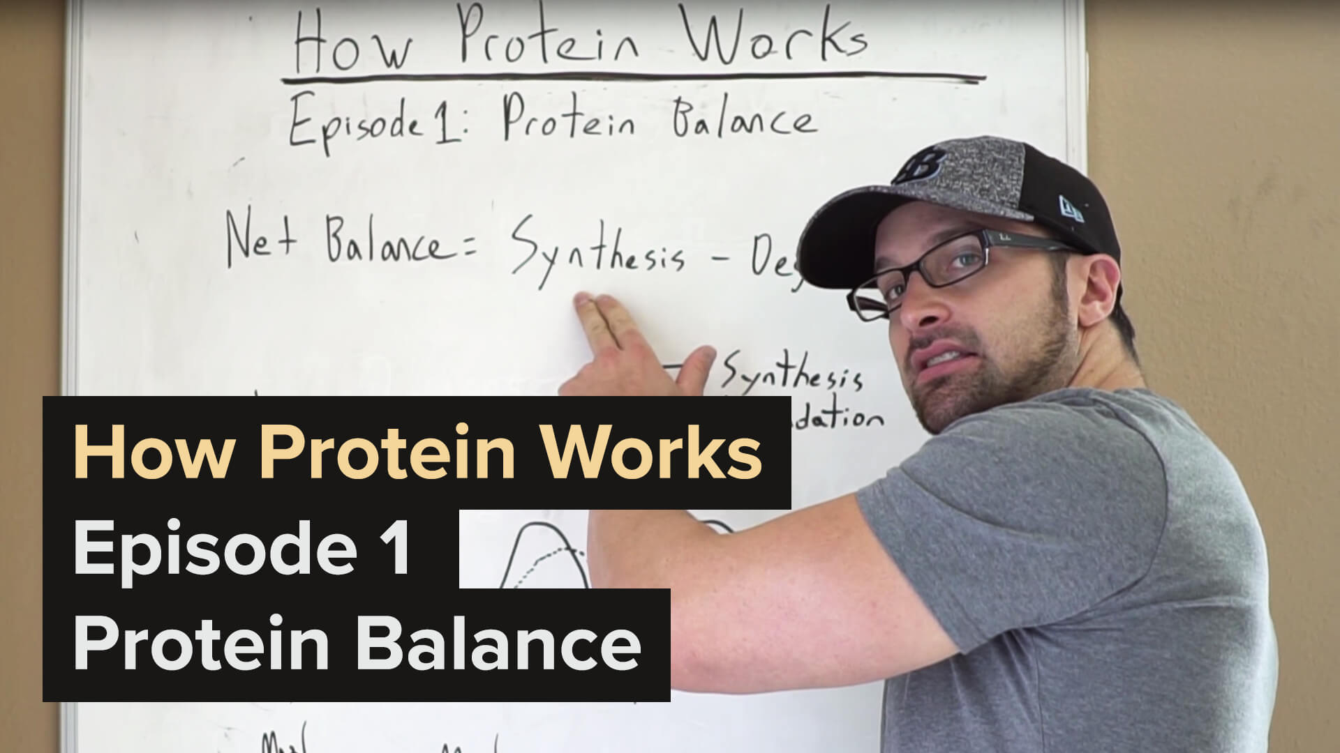 How Protein Works - Episode 1: Protein Balance | Biolayne