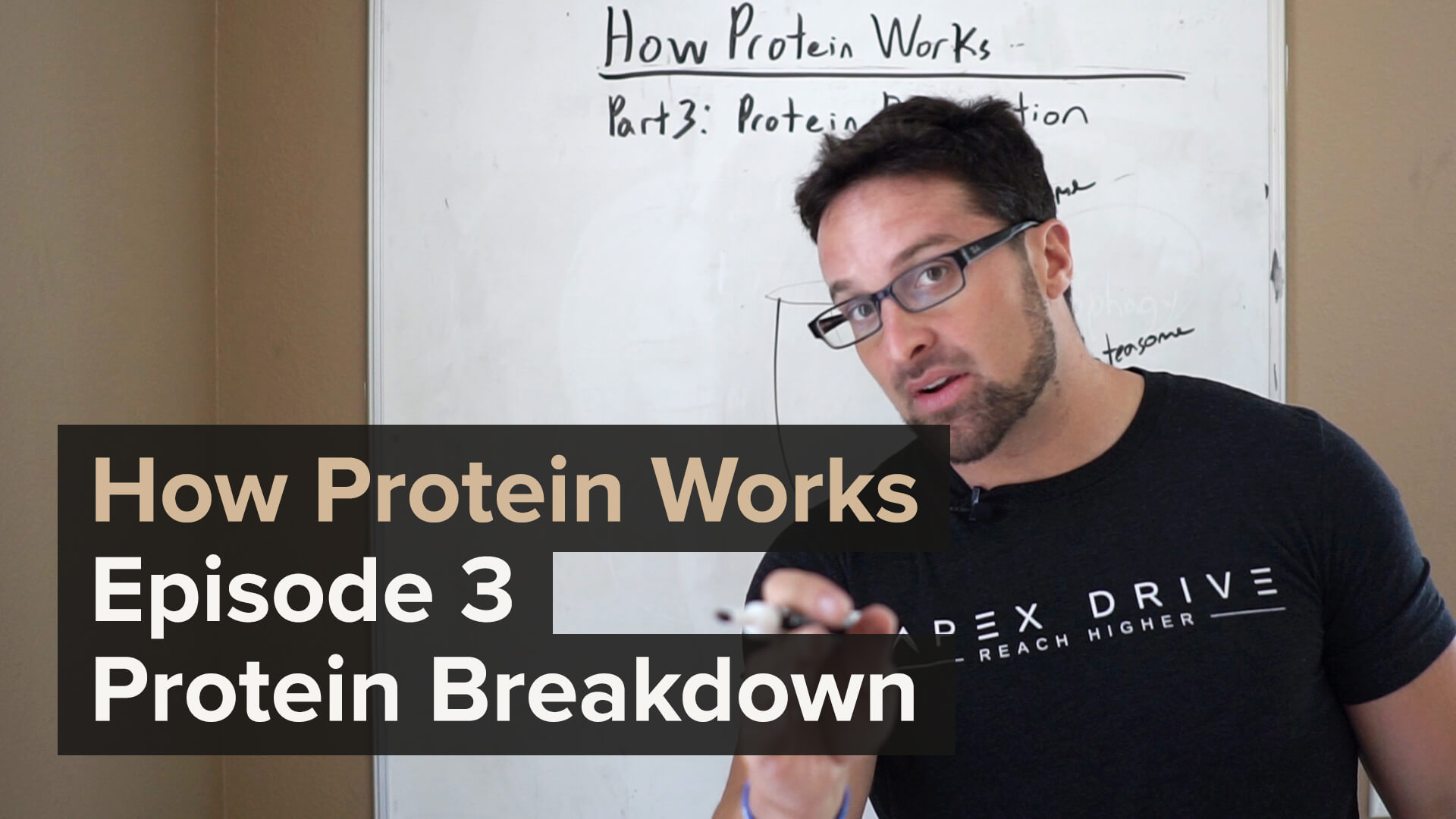 How Protein Works - Episode 3: Protein Breakdown | Biolayne